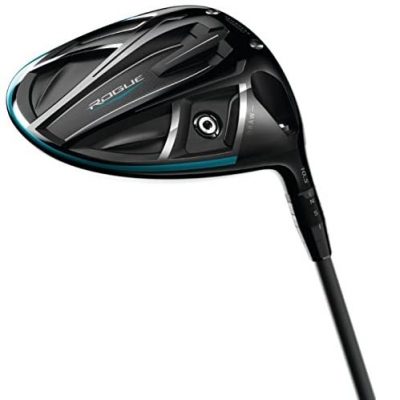 Top 5 Best Mini Drivers [October 2024 Review] - GolfProfy