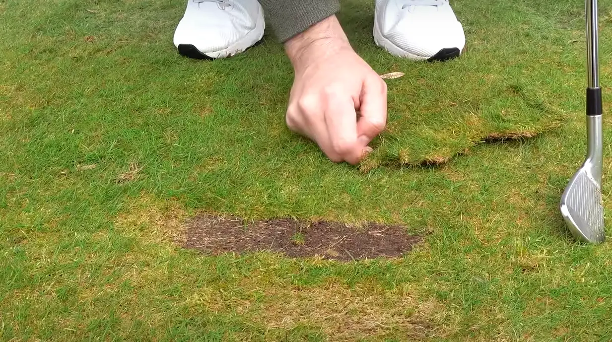 Fade vs. Draw in Golf: What’s the Difference? - GolfProfy